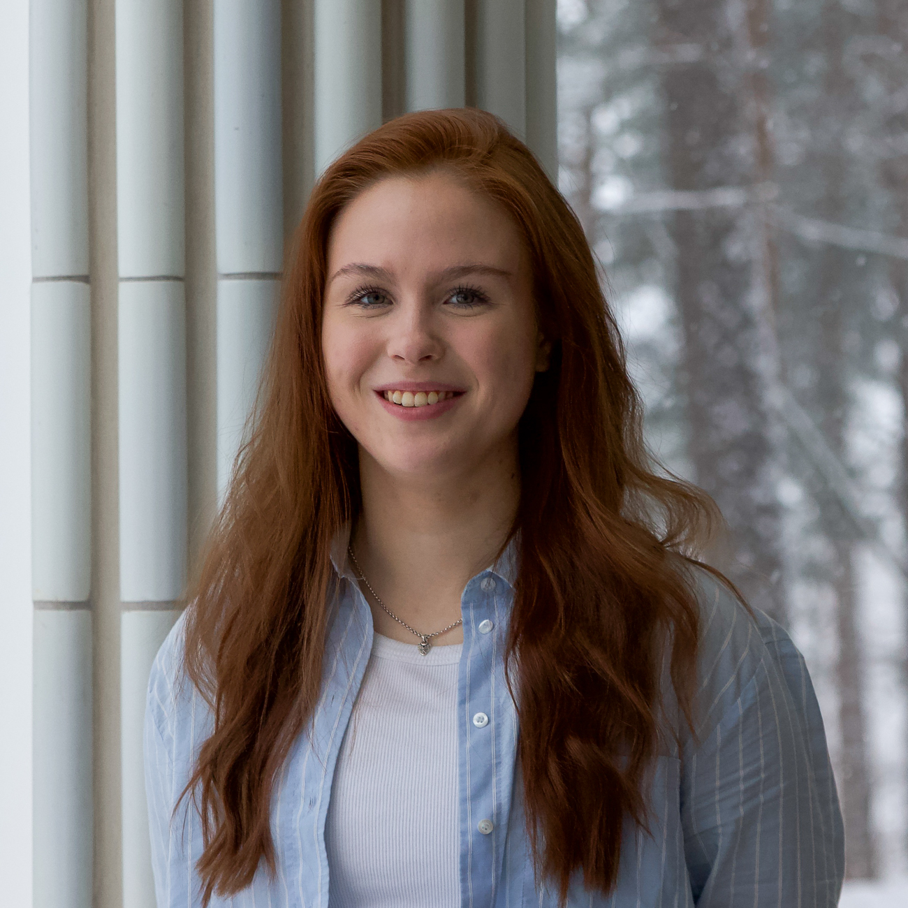 Hallitus - Lööppi ry