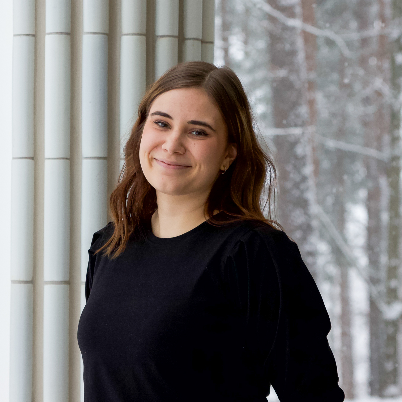 Hallitus - Lööppi ry