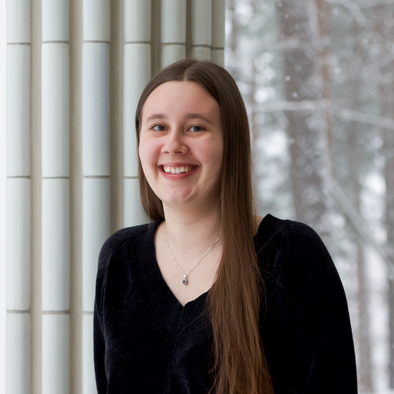 Hallitus - Lööppi ry